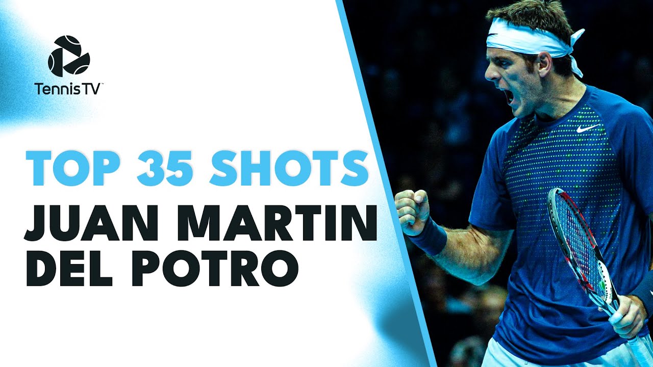 Top 35 Juan Martin Del Potro Electric Shots | テニスはフラミンゴにまかせろ！