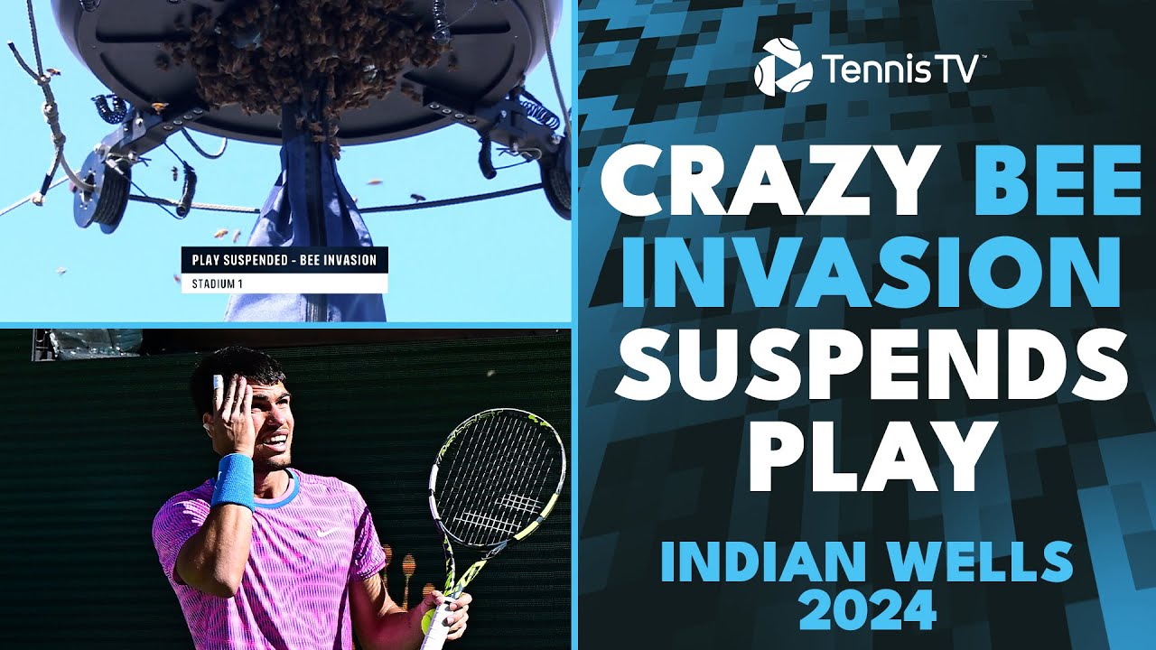 The Most BEE-ZARRE Thing You’ll Ever See!! | Indian Wells 2024 | テニスは ...